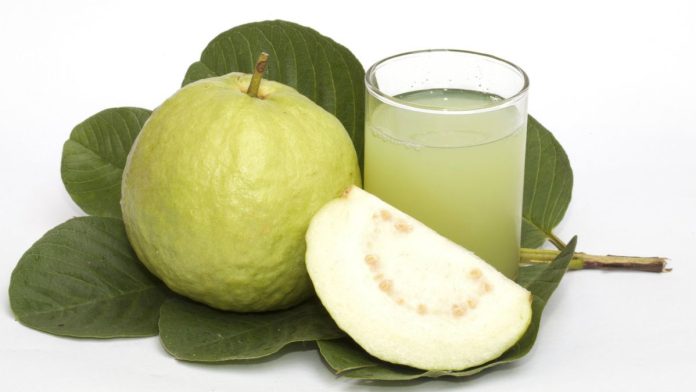 Té de Hojas de Guayaba: Efectos en Salud y Cuándo Evitarlo