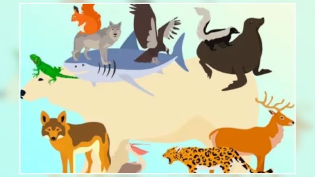 Reto Visual: Descubre Animales y Desafíos Visuales